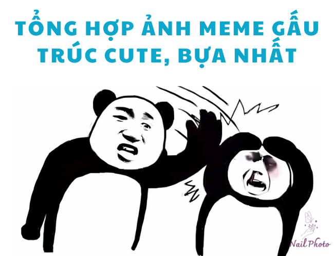 99+ ảnh meme gấu trúc bựa weibo, meme gấu trúc mắt thâm cute