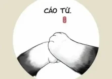 199+ Meme đa tạ và những biến tấu hài hước đến nóc nhà